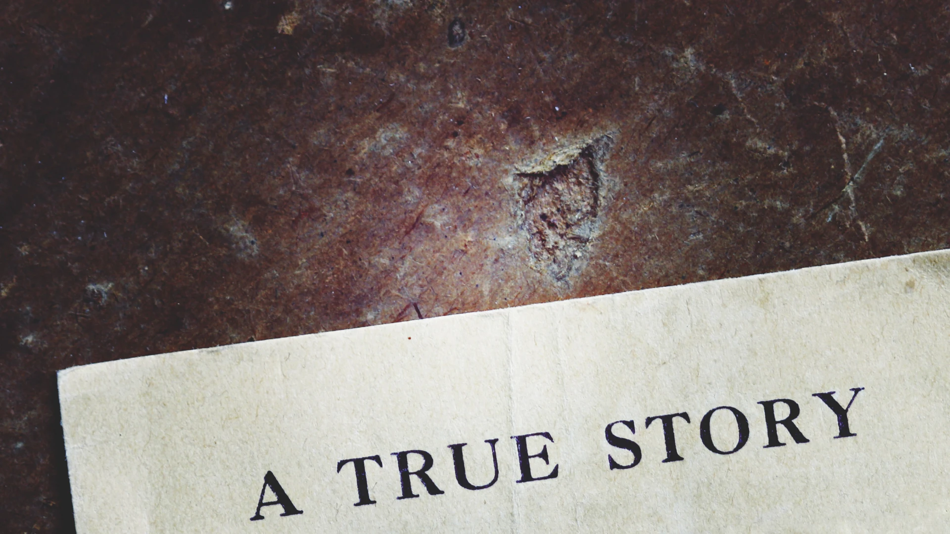 What secrets did genocide case reveal and what do falsifiers of history ...