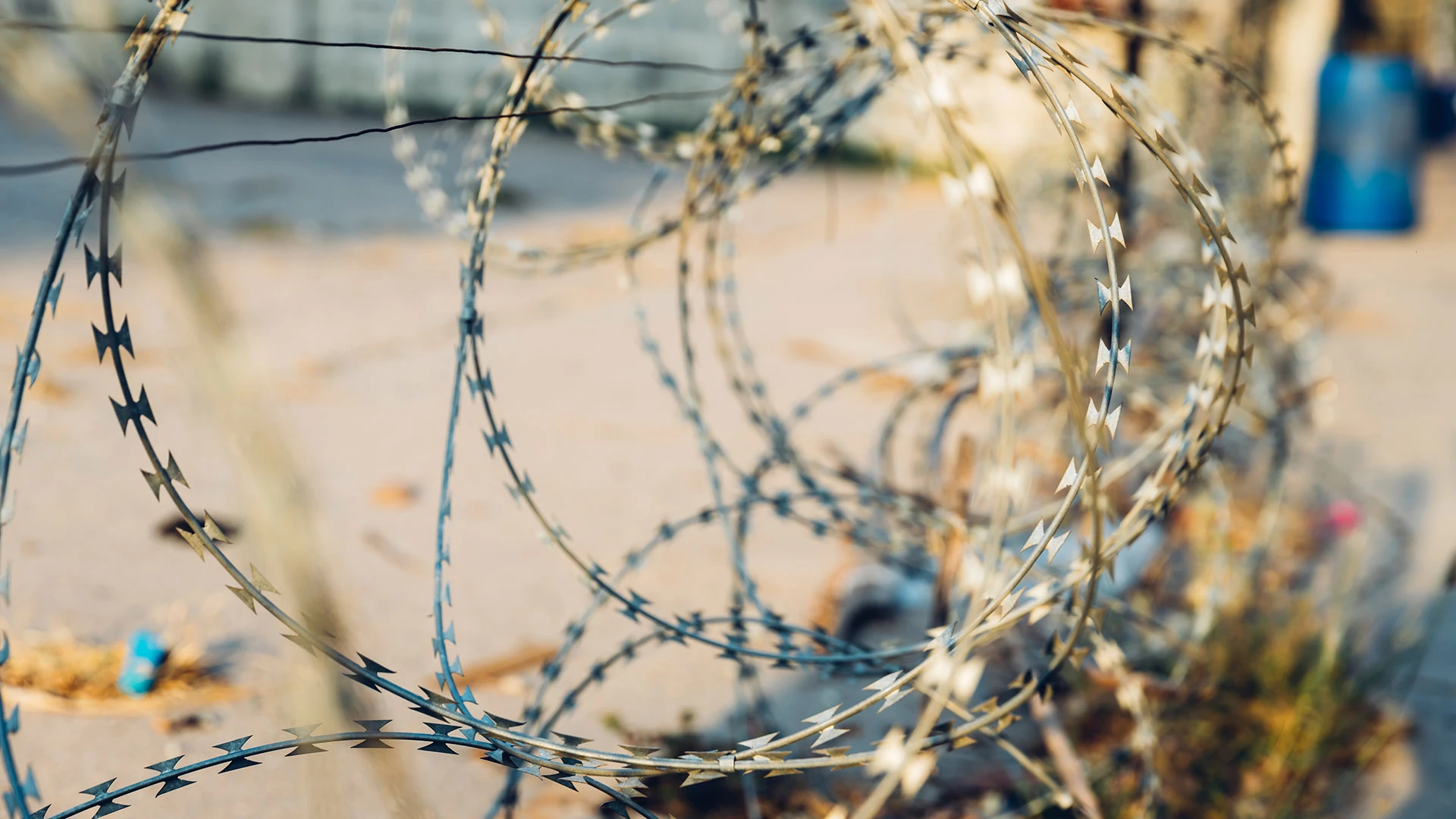 Expert on the new iron curtain: Just as quickly as these walls were ...